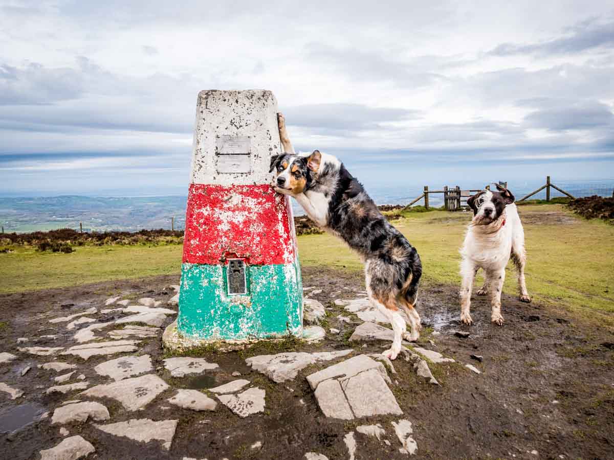 A Walk Up Moel Famau: The Top Of The Clwydian Hills | BaldHiker