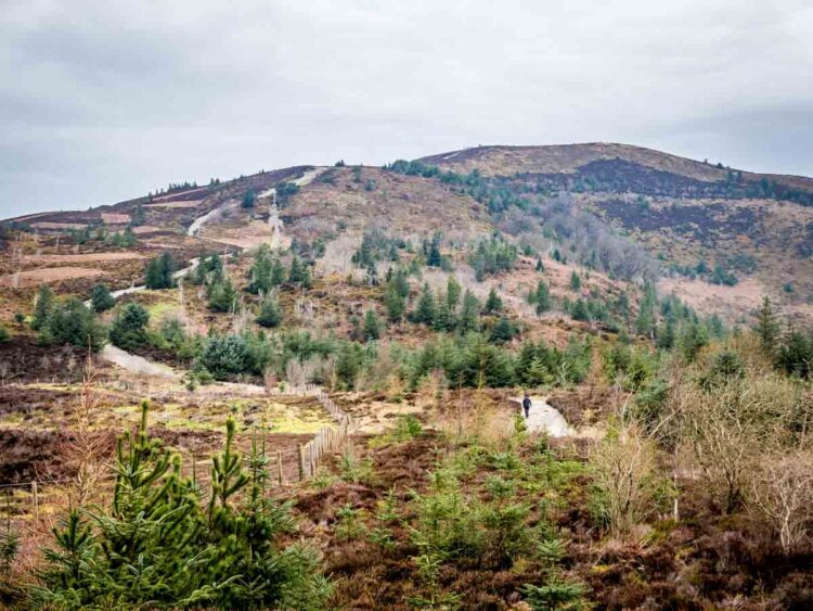 A Walk Up Moel Famau: The Top Of The Clwydian Hills | BaldHiker