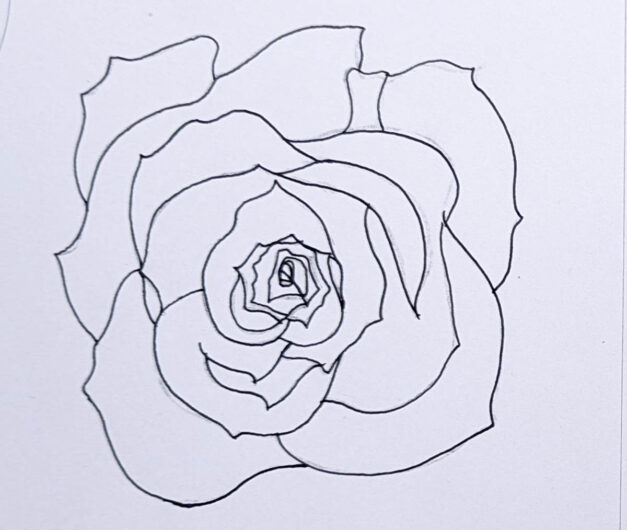 How To Draw A Rose: A Step By Step Guide | BaldHiker