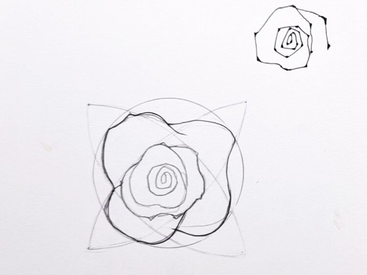 How To Draw A Rose: A Step By Step Guide | BaldHiker