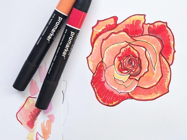 How To Draw A Rose: A Step By Step Guide | BaldHiker