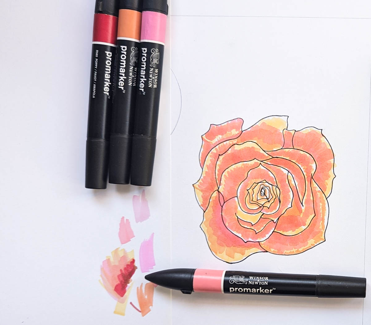 How To Draw A Rose: A Step By Step Guide | BaldHiker