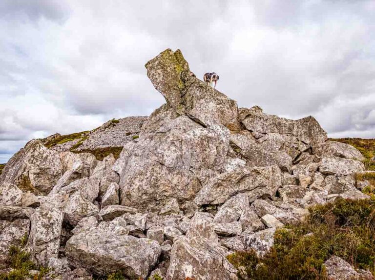 Stiperstones Circular Walk, Shropshire | BaldHiker