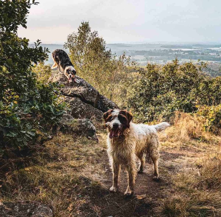 Bardon Hill Walk: A Guide to the History, Geology & Views from ...