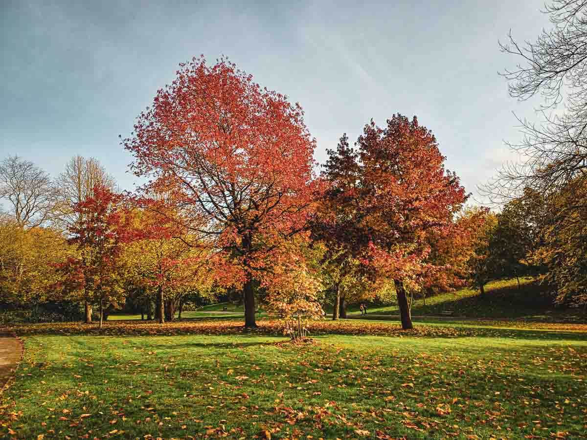 A Guide to Nottingham Arboretum: An Autumn Walk | BaldHiker