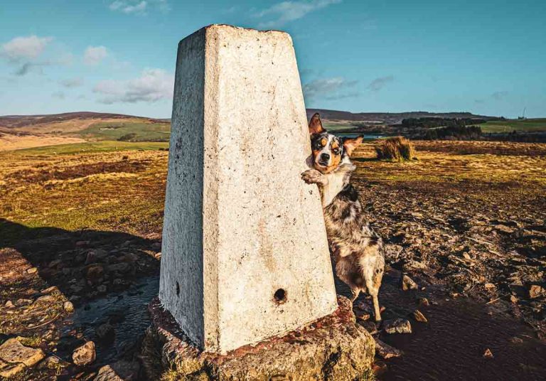 The Concrete Sentinel: Your Ultimate Guide to Trig Points | BaldHiker