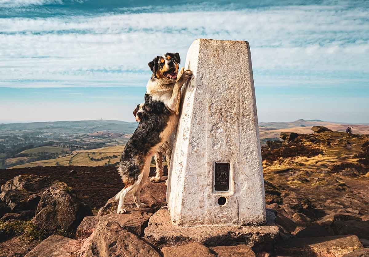 The Concrete Sentinel: Your Ultimate Guide to Trig Points | BaldHiker