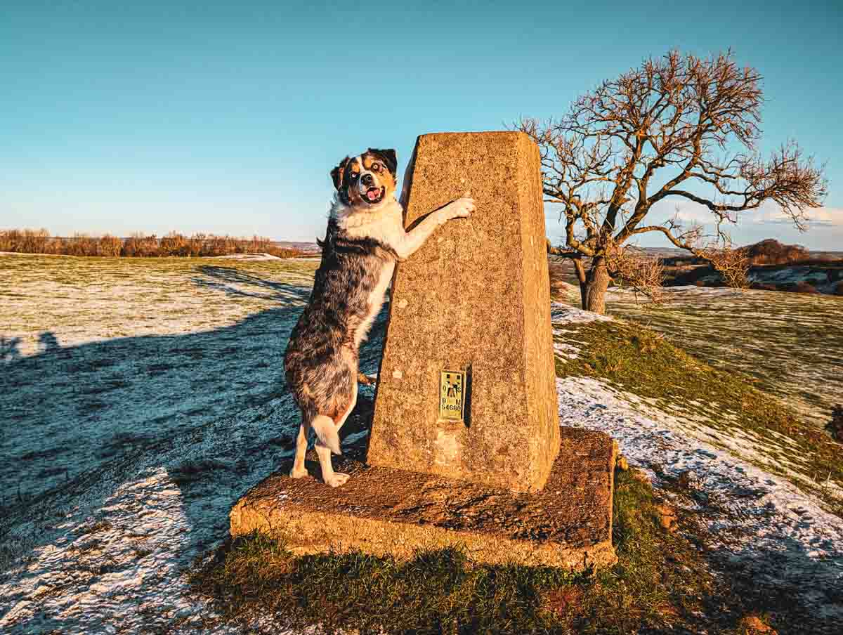 The Concrete Sentinel: Your Ultimate Guide to Trig Points | BaldHiker