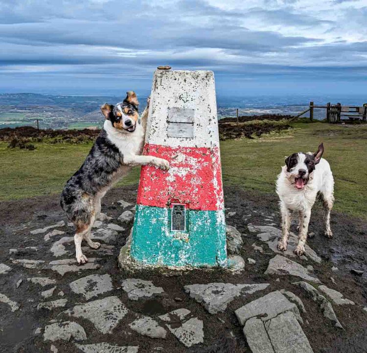 The Concrete Sentinel: Your Ultimate Guide to Trig Points | BaldHiker