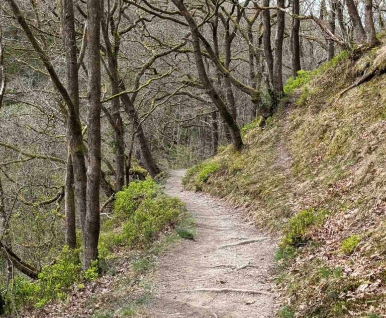 Henrhyd Falls & Nant Llech Walk: Wales' Batcave Waterfall | BaldHiker