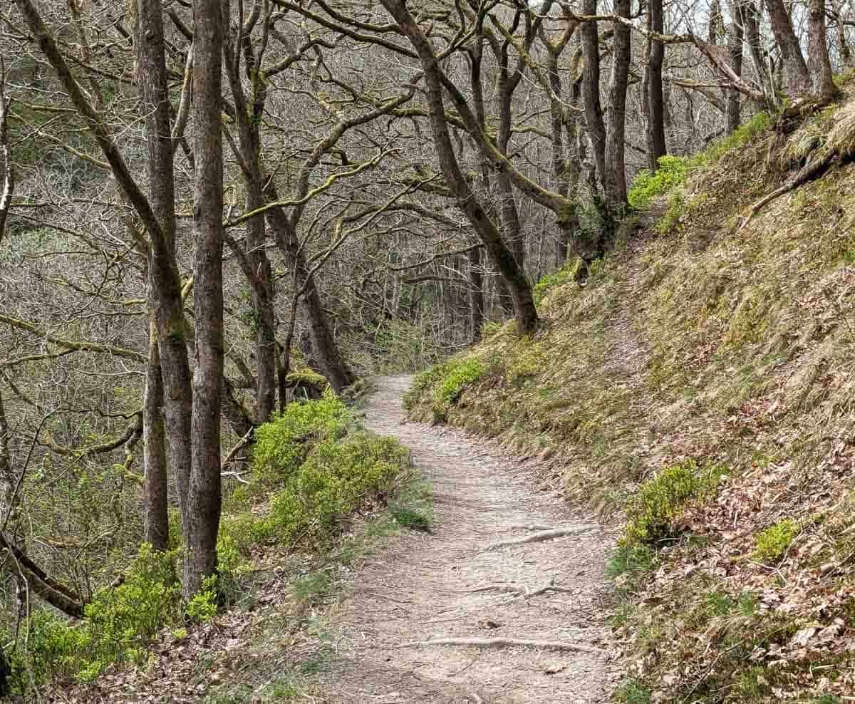 Henrhyd Falls & Nant Llech Walk: Wales' Batcave Waterfall | BaldHiker