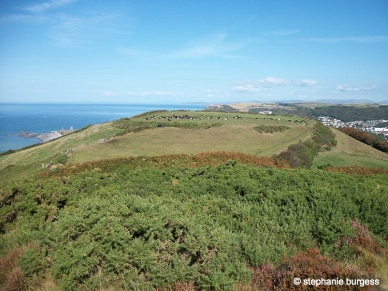 Pen Dinas Walk: A Guide to Aberystwyth's Iron Age Hillfort | BaldHiker