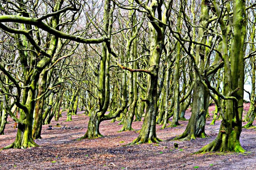 The Strines Area, South Yorkshire | BaldHiker