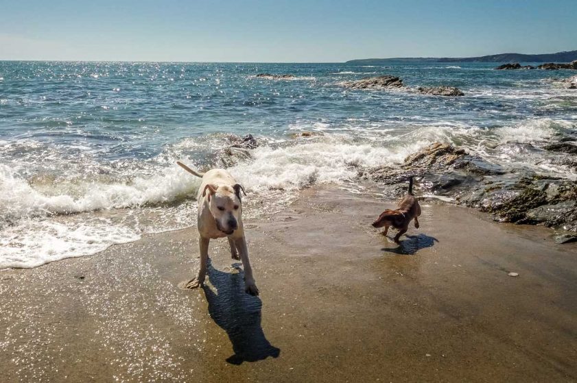 Cornish Coastal Walk - Carlyon Bay to Par via Cliffs, Beaches & Coves ...