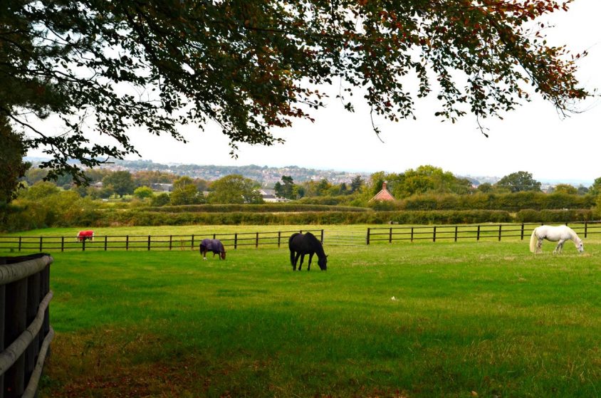 Strelley Village and Hall, A Nottinghamshire Gem | BaldHiker