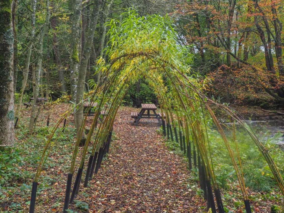 Bowlees Visitor Centre and Gibson's Cave, Teesdale | BaldHiker
