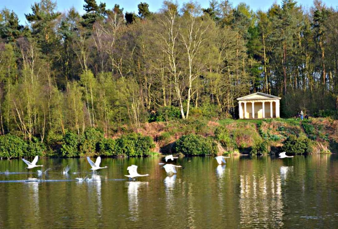 Clumber Park, Discovering the Gems | BaldHiker