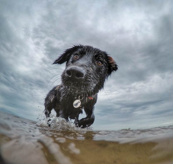 Discover the Beauty of Crimdon Beach, Durham | BaldHiker
