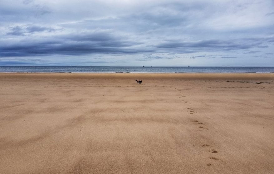 Discover the Beauty of Crimdon Beach, Durham | BaldHiker