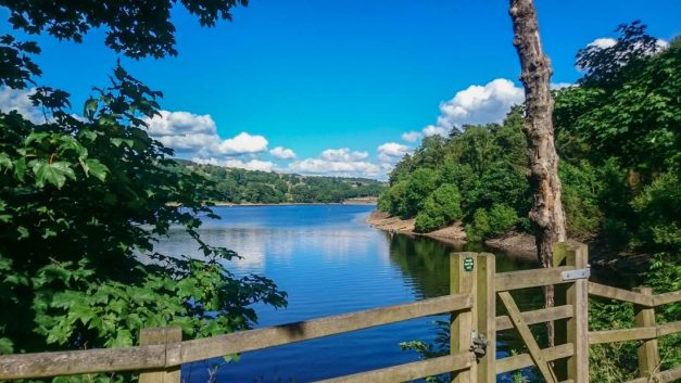 Damflask Reservoir Walk in the Loxley Valley, South Yorkshire | BaldHiker