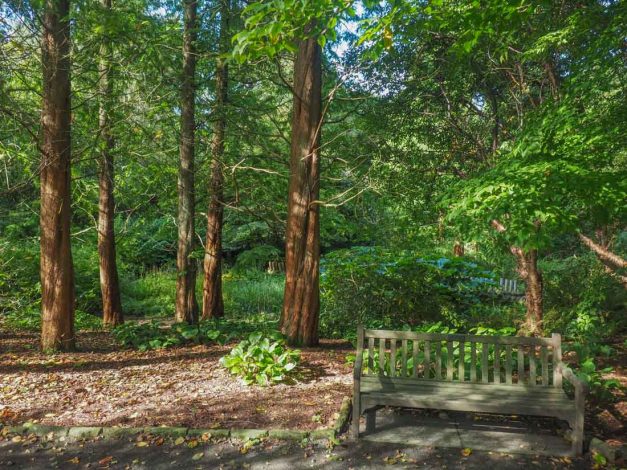 Discover the Beauty of Durham Botanic Garden