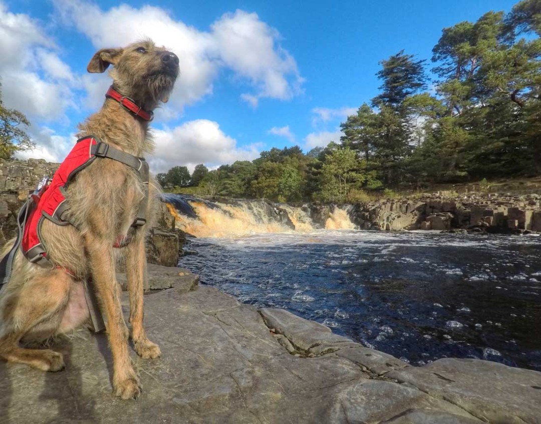 Low and High Force Walk - Durham Dales | BaldHiker