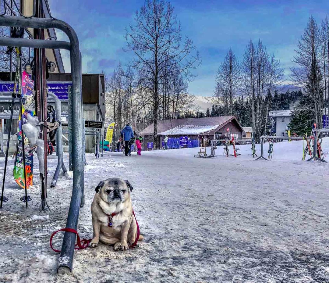 Alaska in Winter: Your Ultimate Guide & Tips | BaldHiker