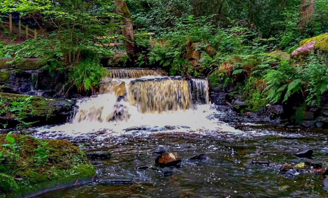 Meandering along the River Rivelin, South Yorkshire | BaldHiker