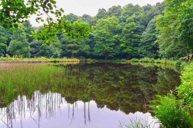 Meandering along the River Rivelin, South Yorkshire | BaldHiker