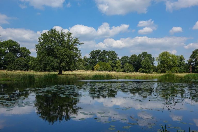 Shugborough Estate: A Walk Through Global Adventure, Arcadian Dreams ...