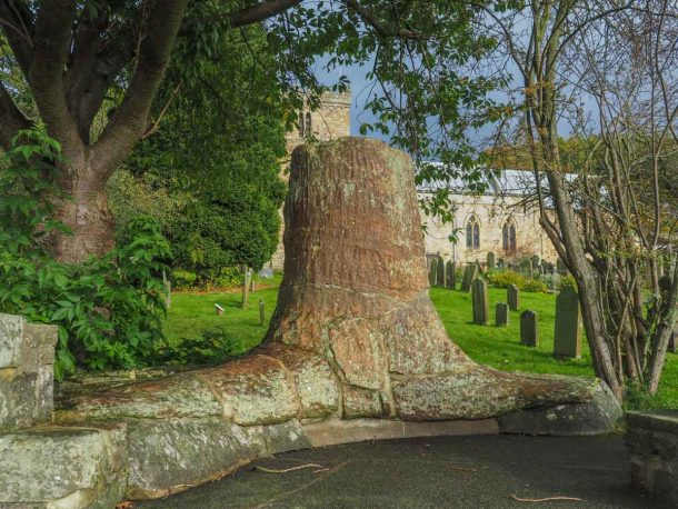 Durham Dales Centre, Stanhope and the Fossil Tree | BaldHiker