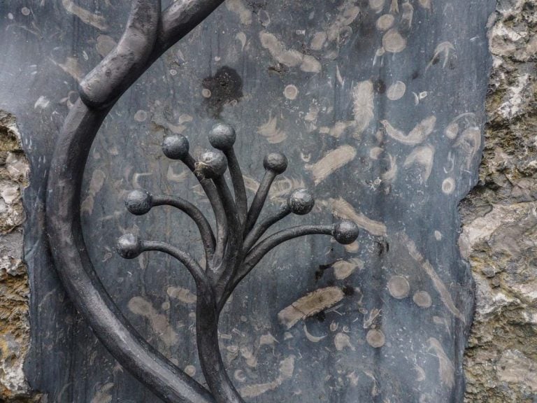Durham Dales Centre, Stanhope and the Fossil Tree | BaldHiker