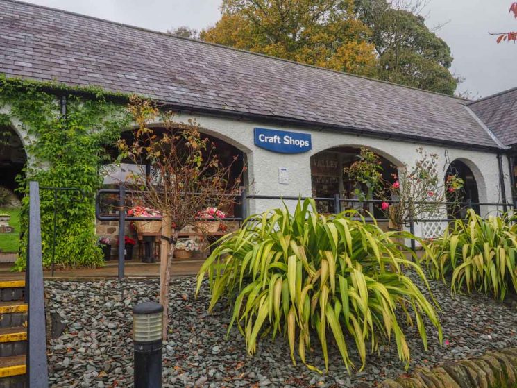 Durham Dales Centre, Stanhope and the Fossil Tree | BaldHiker