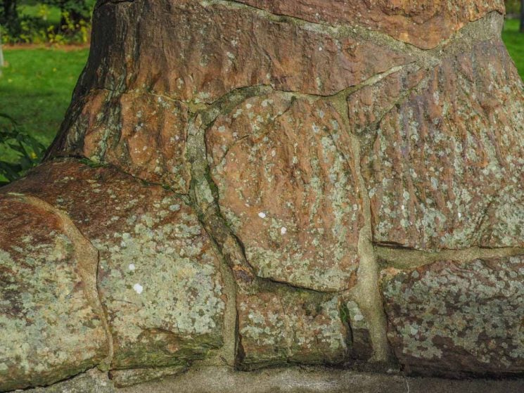 Durham Dales Centre, Stanhope and the Fossil Tree | BaldHiker