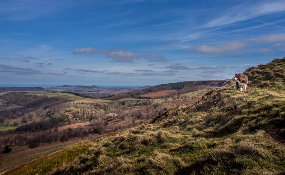 A Walk Up Roseberry Topping - A North Yorkshire Icon | BaldHiker